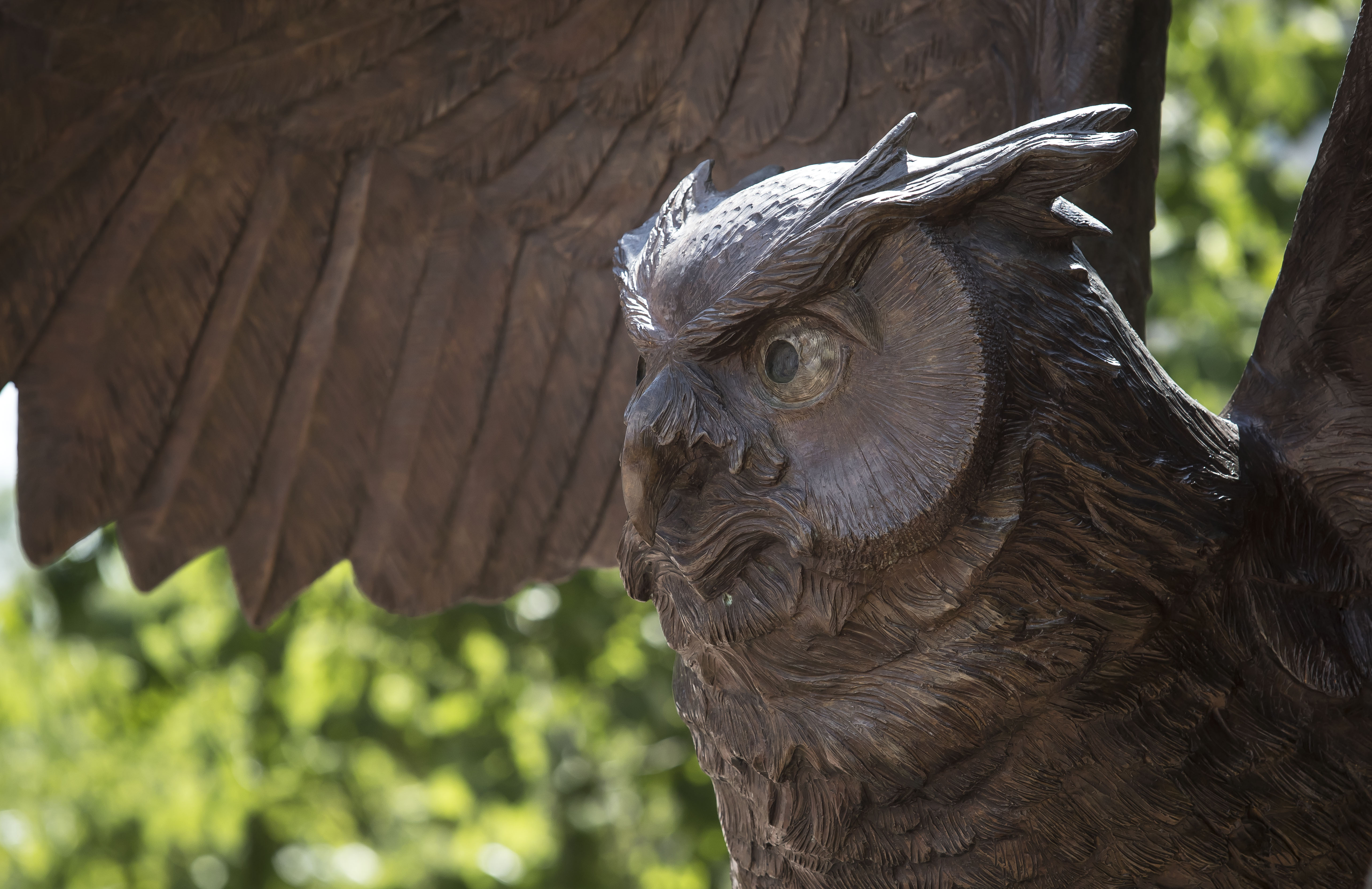Temple University - Give to Fox – Giving to Temple Fox